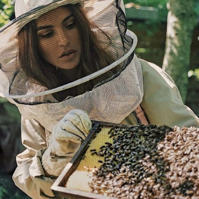 ¿Qué hacer si tenemos un panal de abejas en casa? - Fotocasa Life